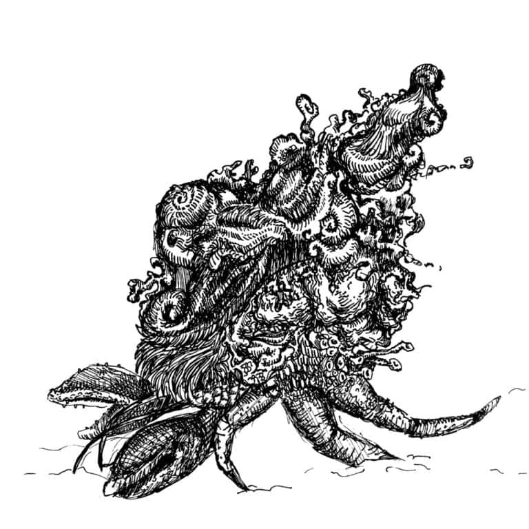 6 Nature Drawing Ideas - Part 3 of the Must-Try Doodling Elements ...
